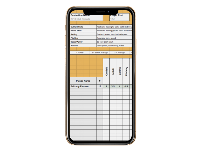 Youth Baseball Tryouts Evaluation Form [Free Template]